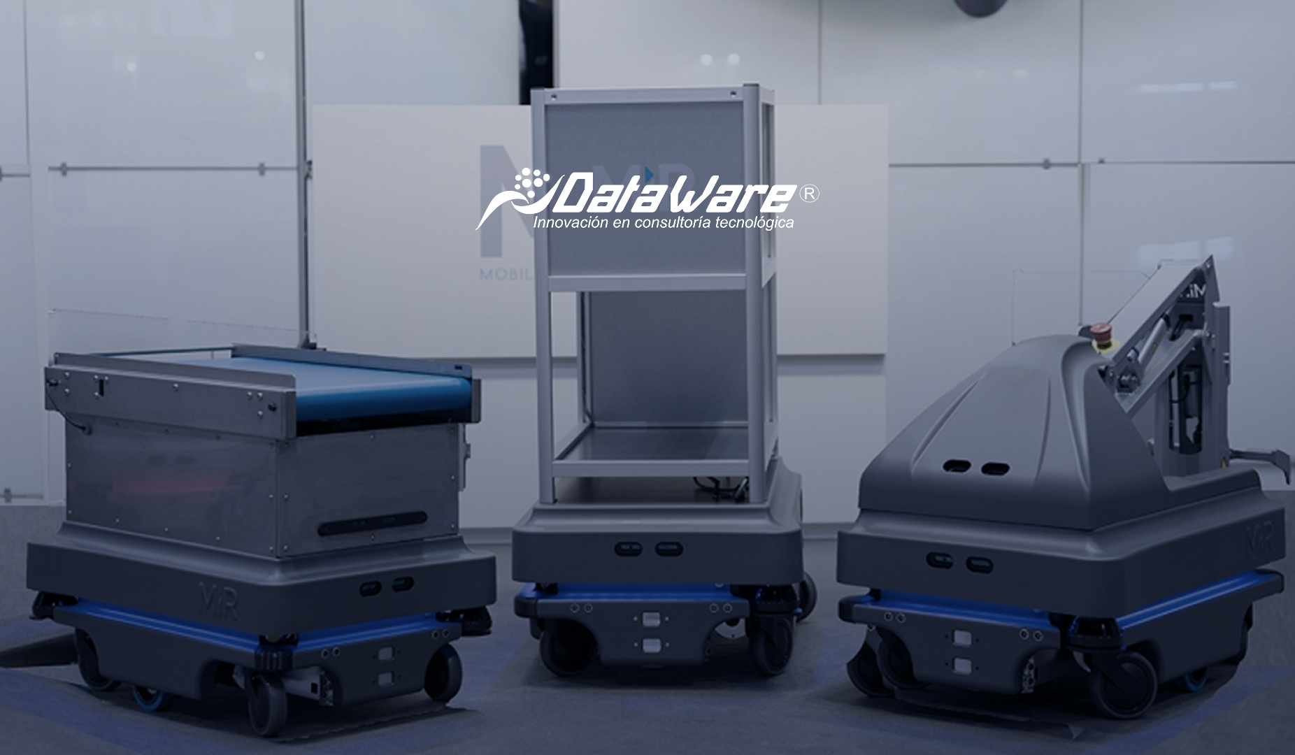 Robots Móviles Autónomos (AMR): qué son y cómo funcionan